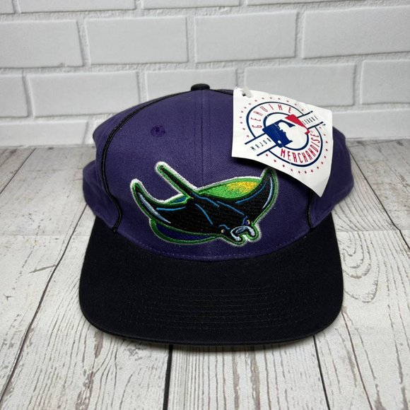 Twins Enterprise | Accessories | Vintage Tampa Bay Devil Rays Twins ...